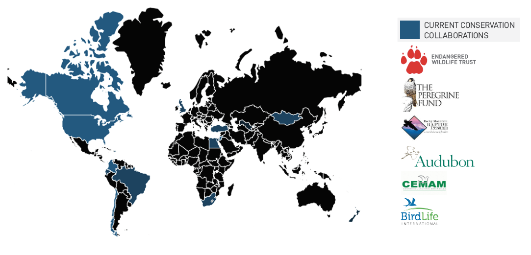 Protección de Aves y Fauna con Power Line Sentry
